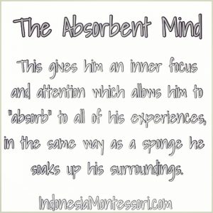 The Absorbent Mind – IndonesiaMontessori.Com