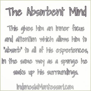 The Absorbent Mind – IndonesiaMontessori.Com