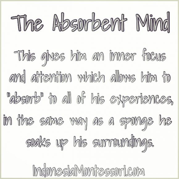 The Absorbent Mind – IndonesiaMontessori.Com