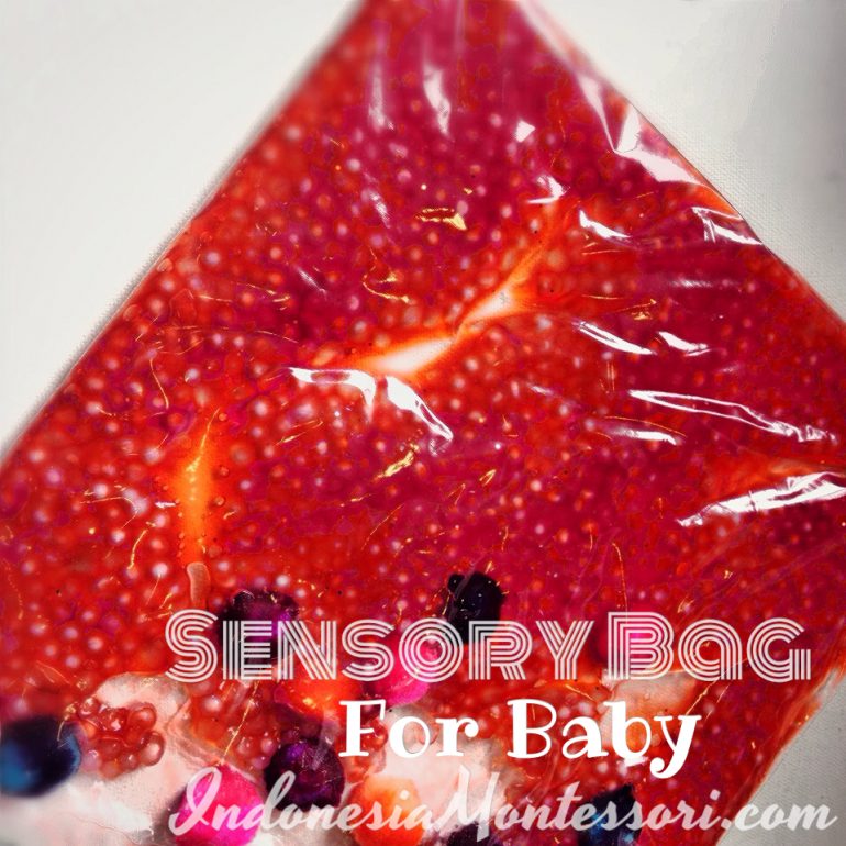 Ide Main Sensori : Can You Spy The Pom Poms? – IndonesiaMontessori.Com