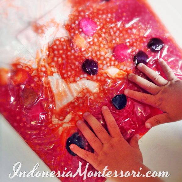 Ide Main Sensori : Can You Spy The Pom Poms? – IndonesiaMontessori.Com