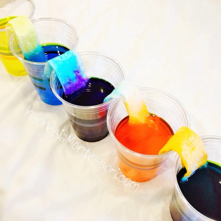 Kegiatan Sains PAUD – Kapilaritas – IndonesiaMontessori.Com