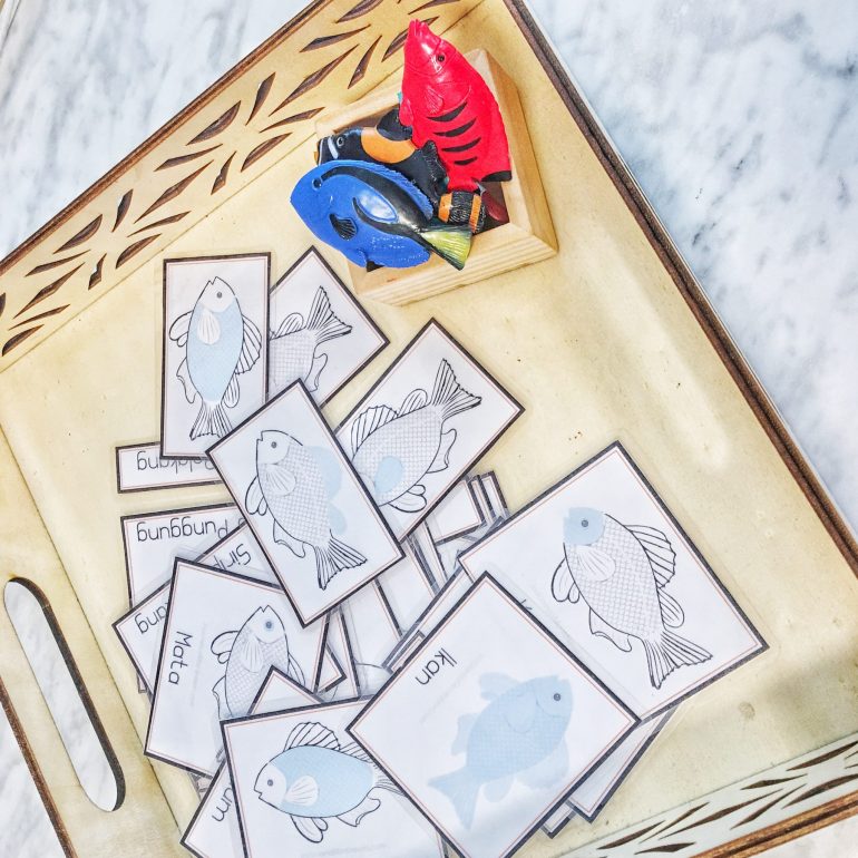 FISH , FISH, FISH! Yuk Kenalan Dengan Ikan! – IndonesiaMontessori.Com